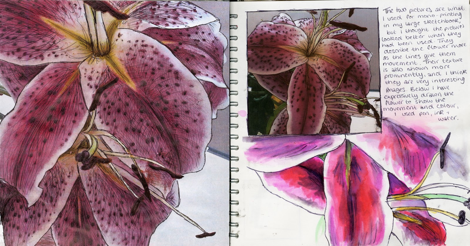 1086711488: Sketch book Flowers