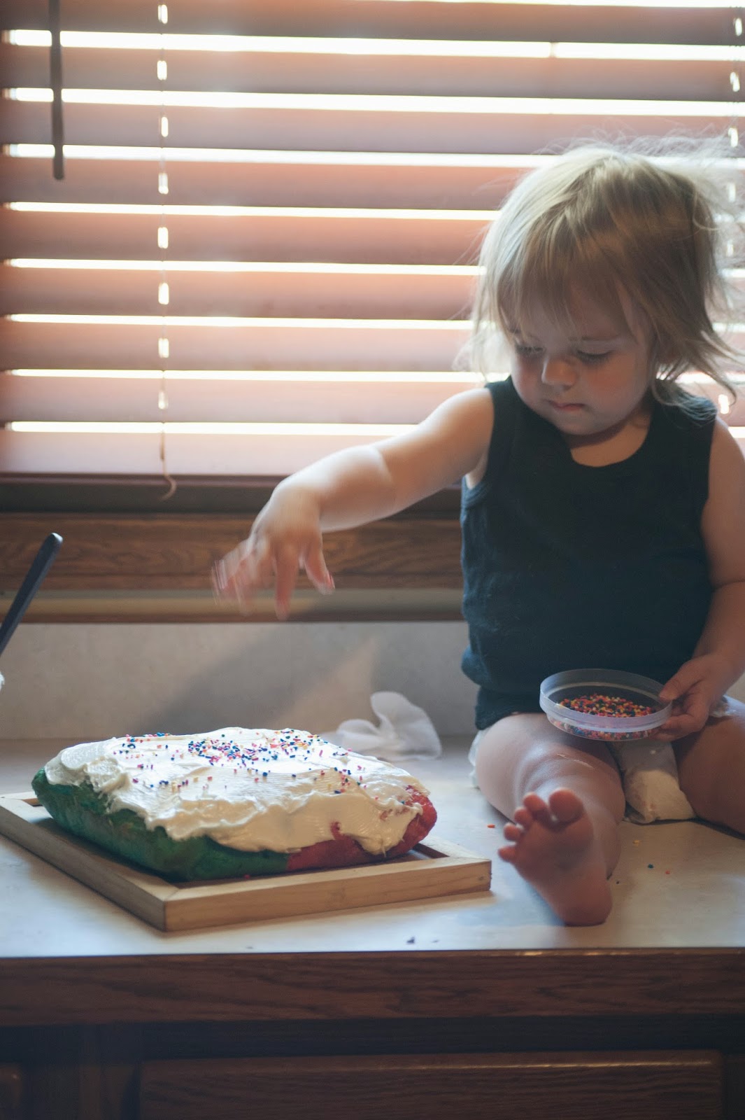 Memoirs of a DIY junkie