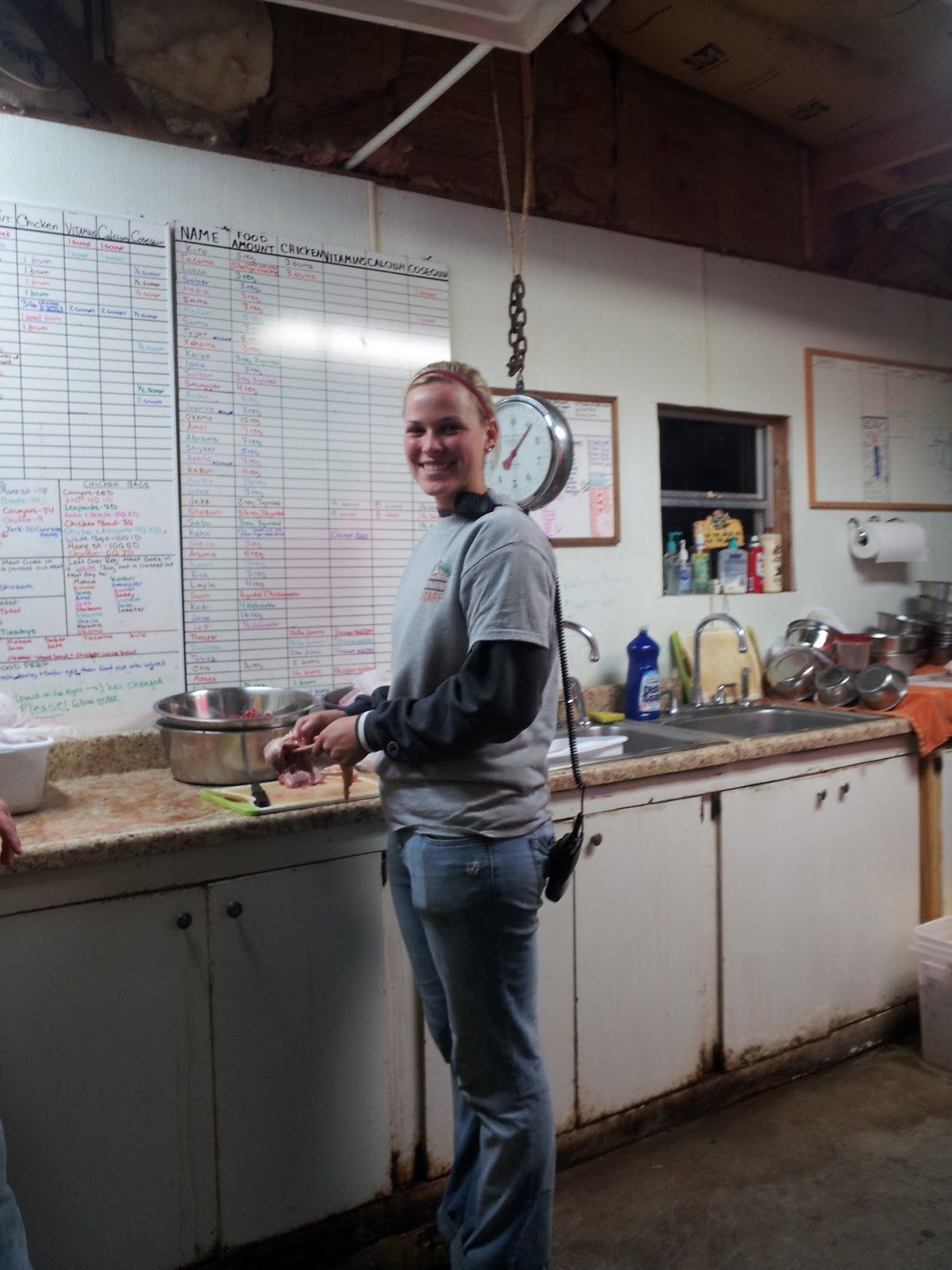 In-Sync Exotics' Cat Tales: 1/29/12 - 2/5/12