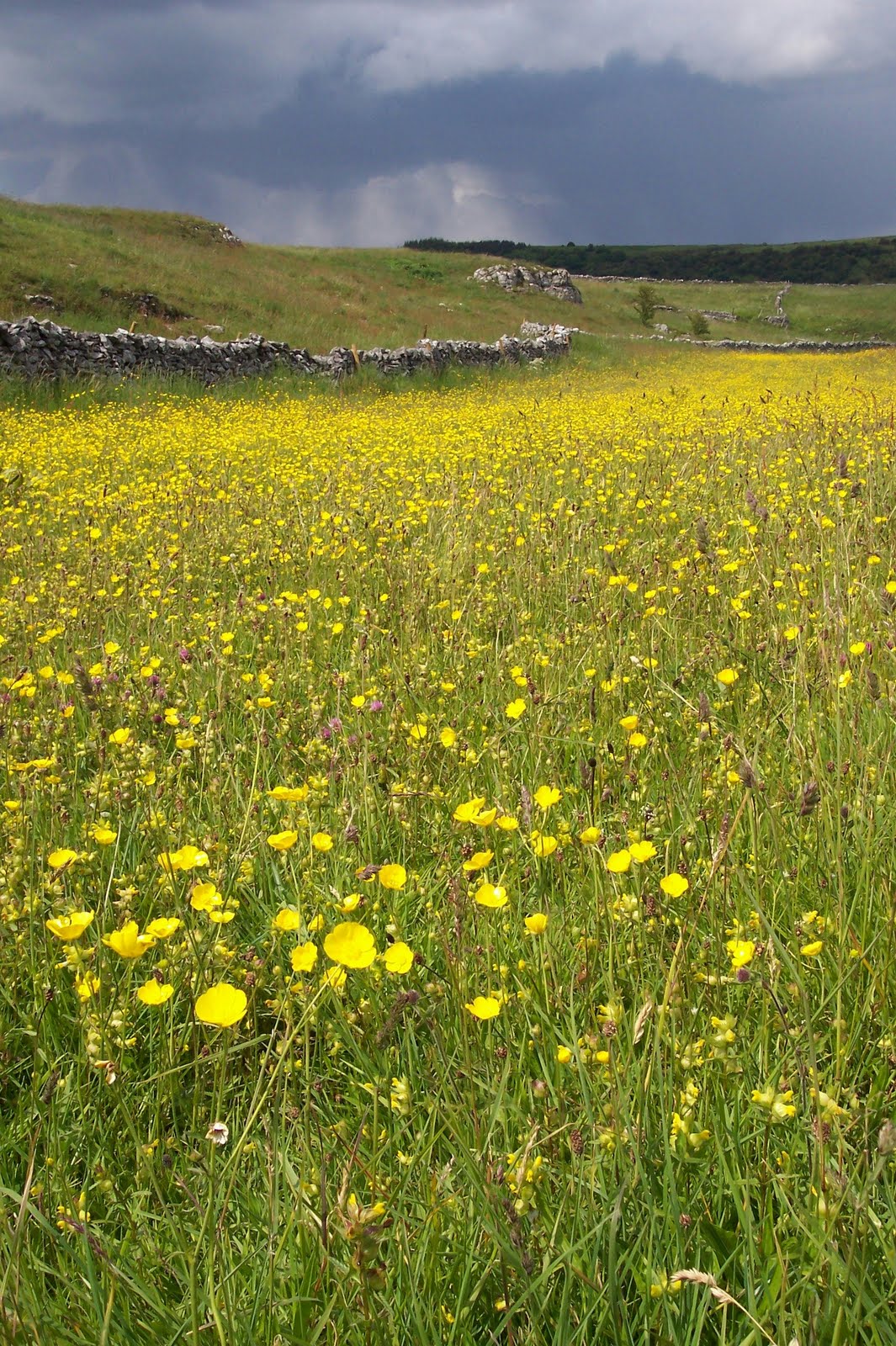 Endurance Adventures: The Baslow Boot Bash- Event Report