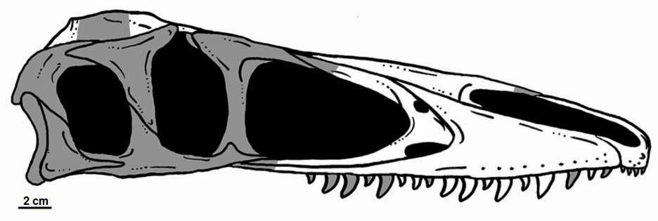 Palaeos, la historia de la Vida en la Tierra: Noticias dinosaurianas