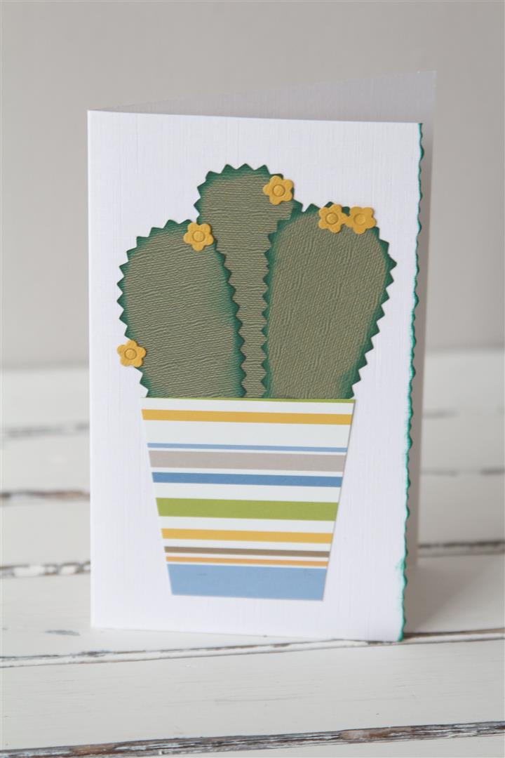 emuse: Cactus card