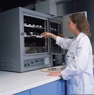 Basic Test for Wheat and Flour