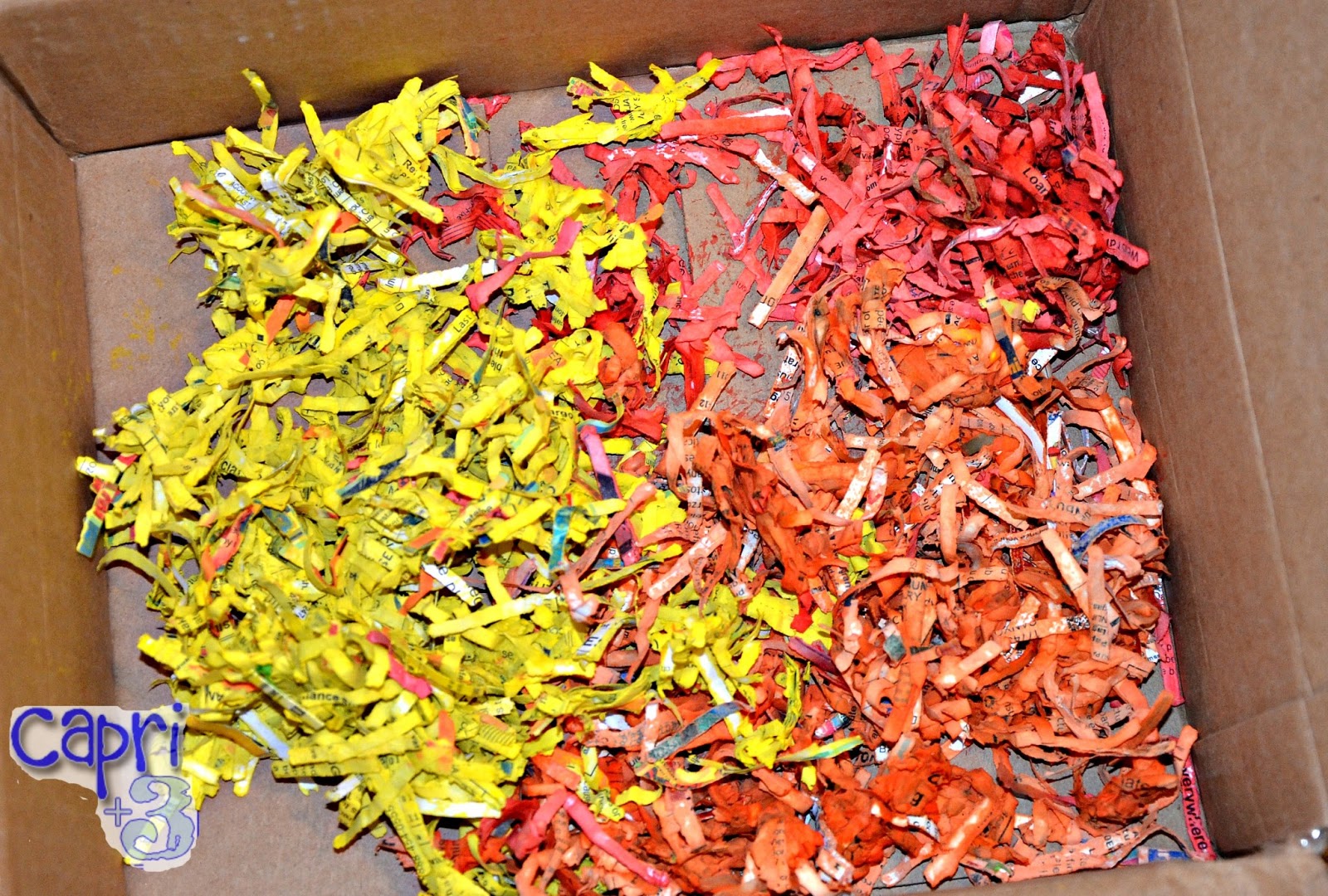 Recycled Shredder Paper Fireworks Craft - Capri + 3