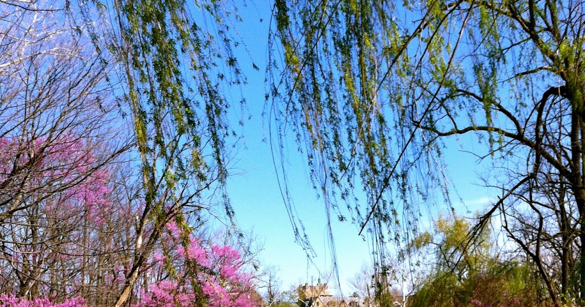 Best of the best: Must See Places