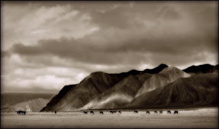 solitary dog sculptor: Photos - Fotos: Adam Jahiel - Kyrgyzstan - Part ...