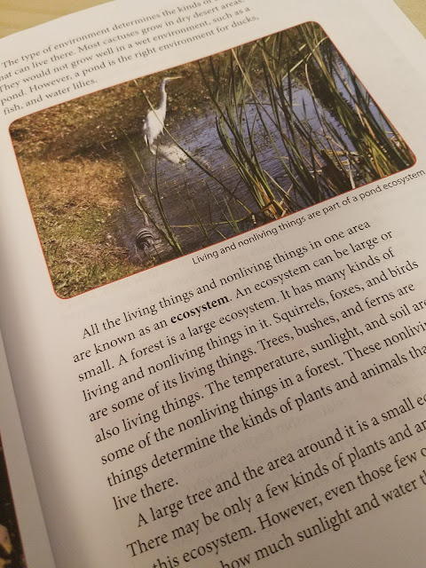 Science Curriculum Review - 4th grade