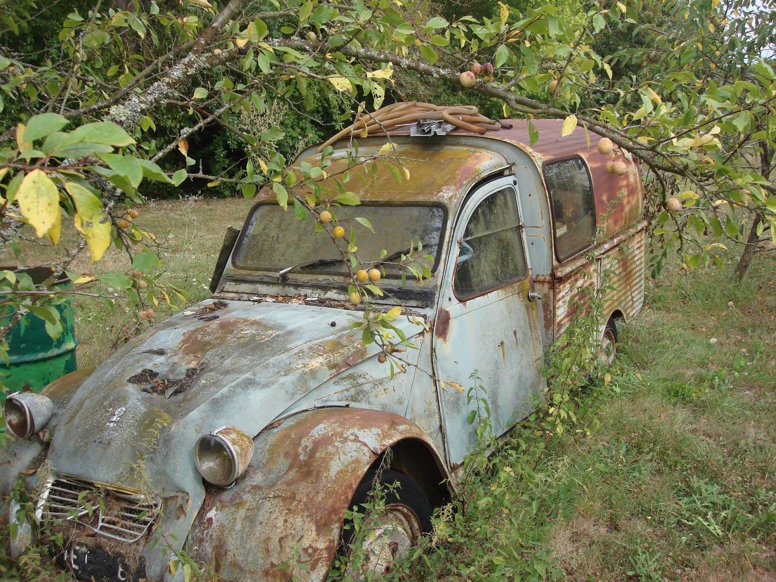 OpeningSpace Retreat: How do you feel about ruins and decaying things?