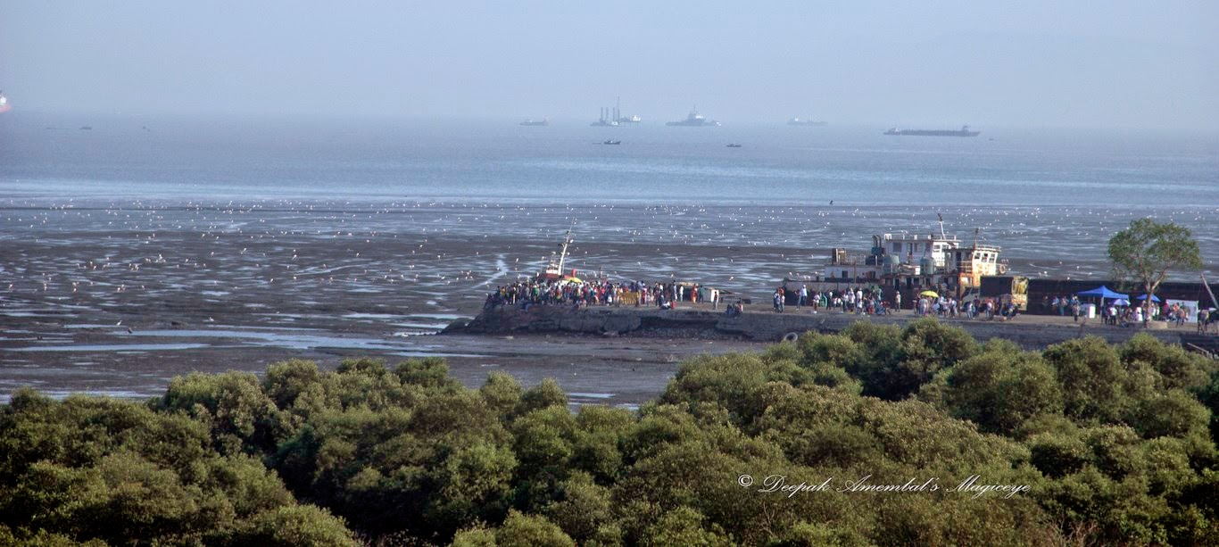 Mumbai Daily: Thursday Challenge - LANDSCAPE (Mountains, Flat Lands ...