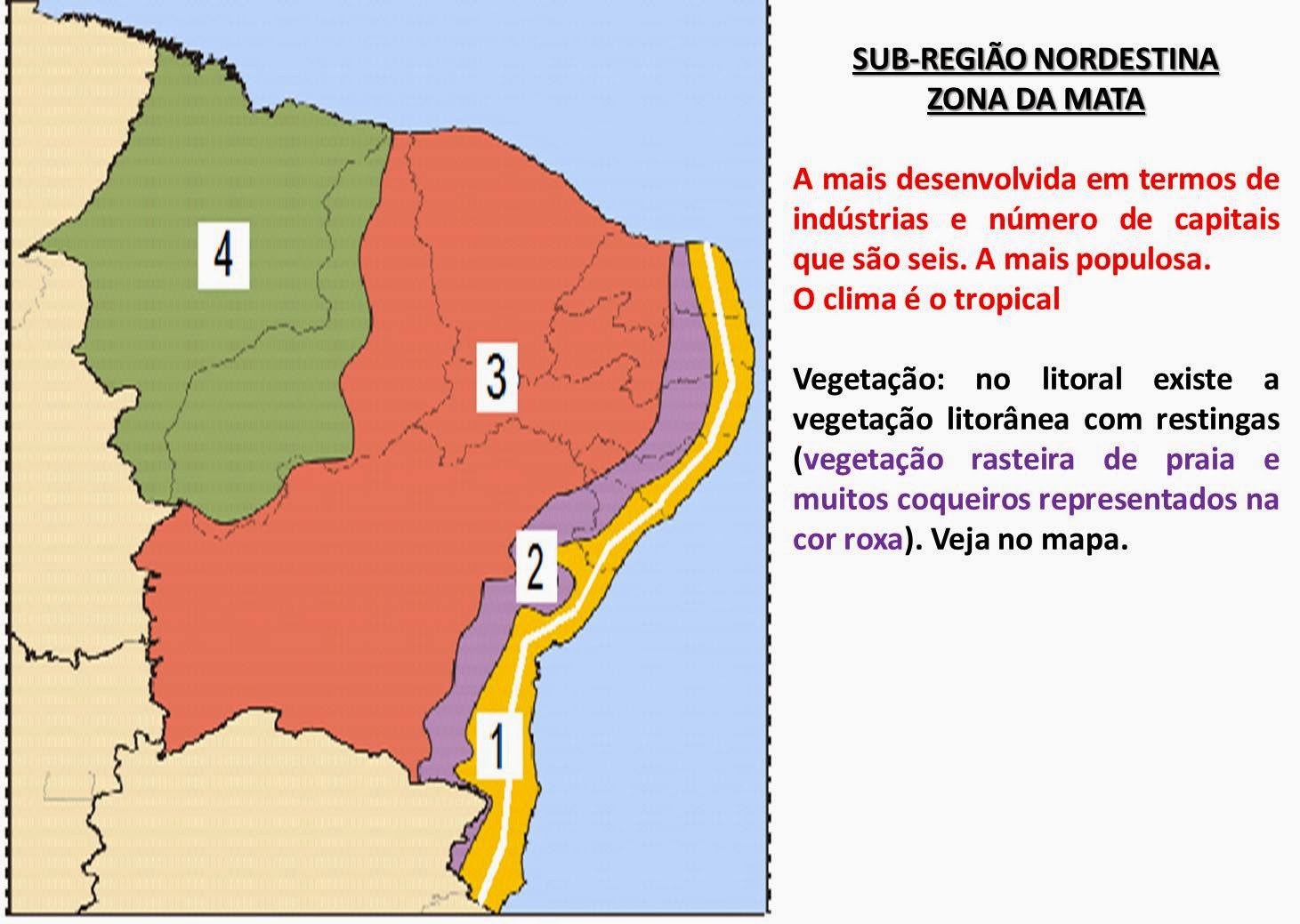 Mapa Das Sub-regiões Do Nordeste - FDPLEARN