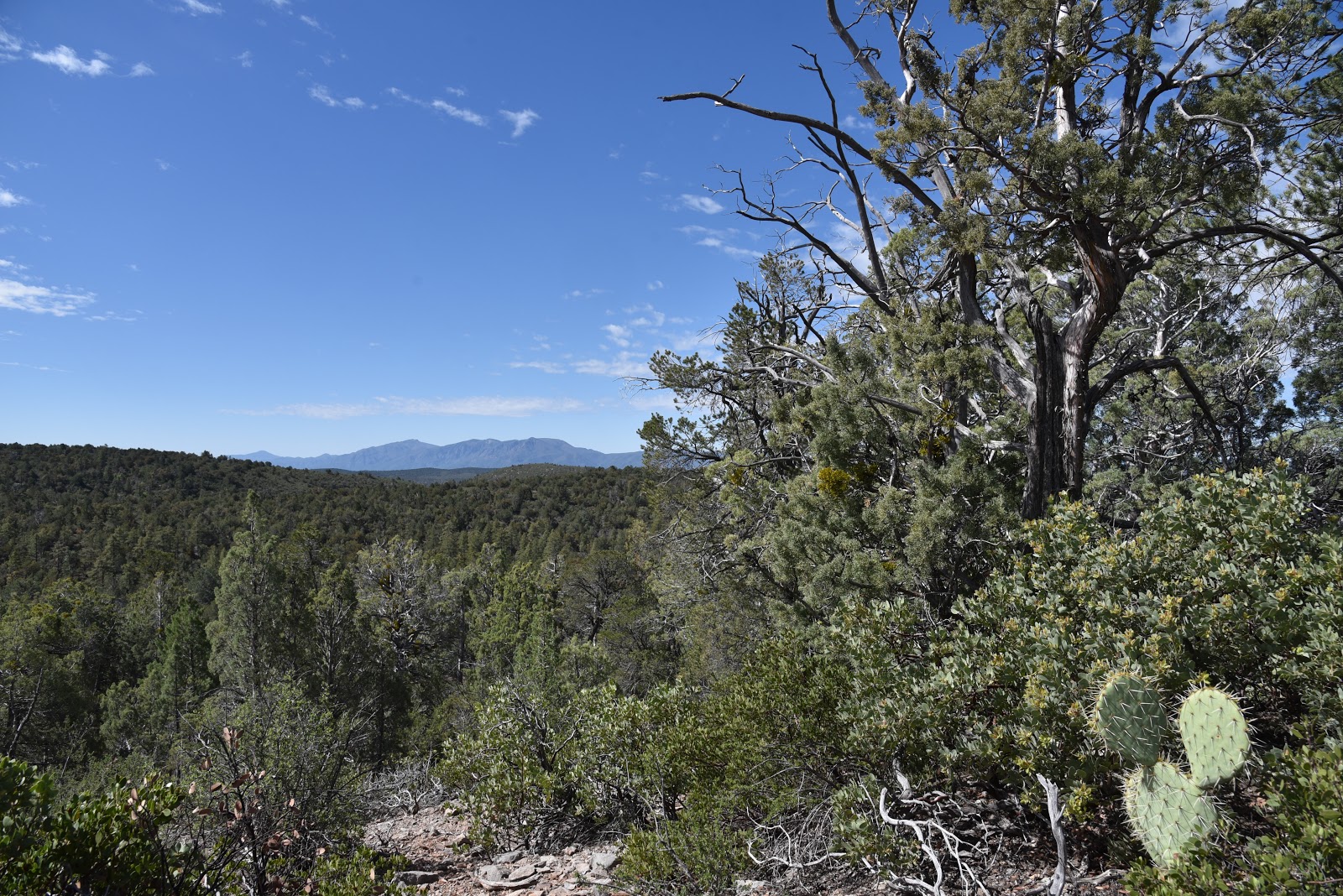Arizona Hiking: CEDAR MESA