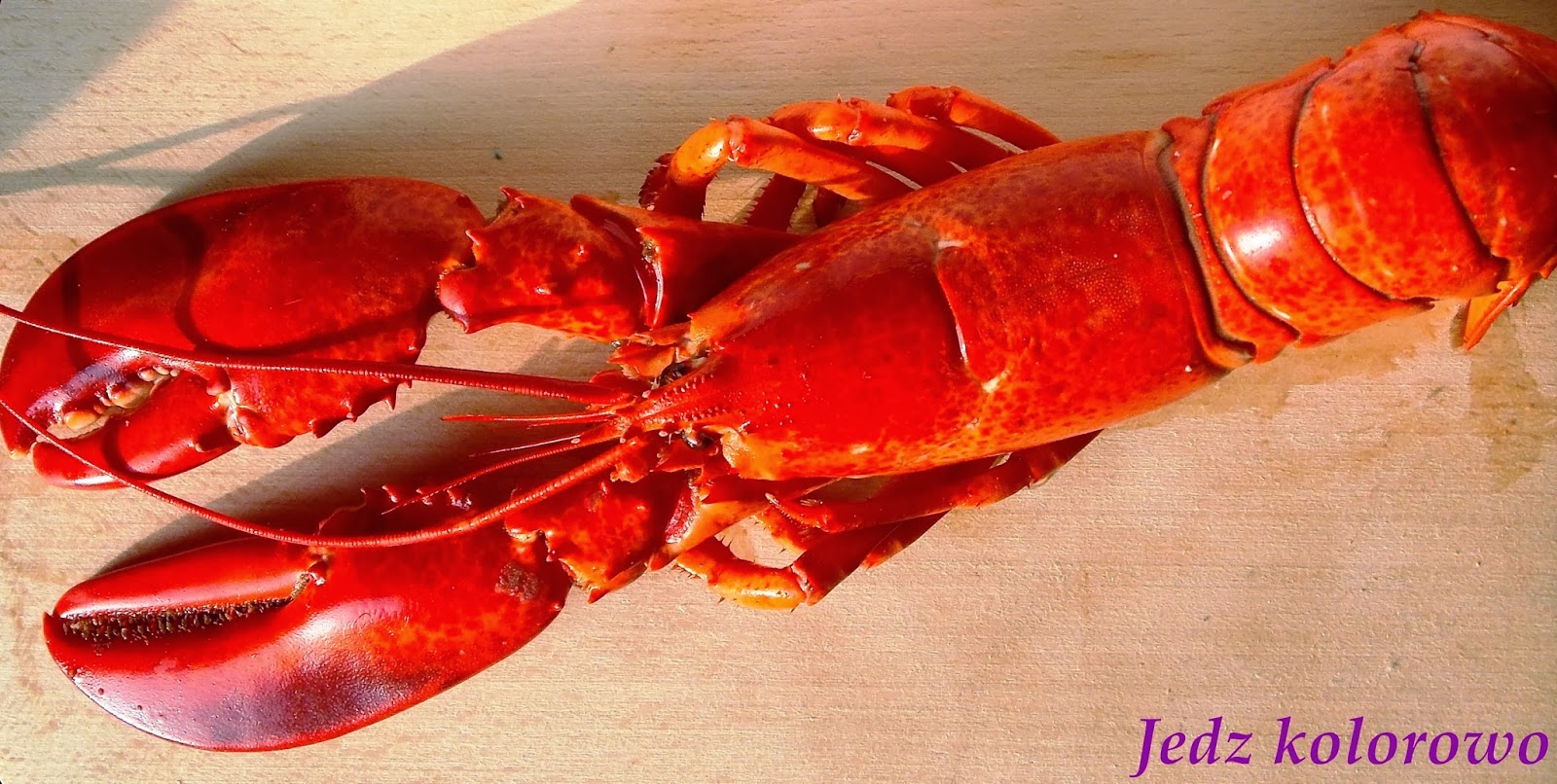 Jedz kolorowo -najlepsze przepisy kulinarne dla wymagających: Paella ...