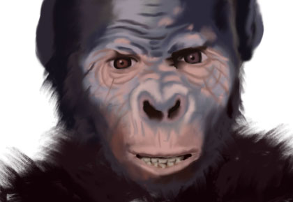 Evolutionary Trail: Facial concepts