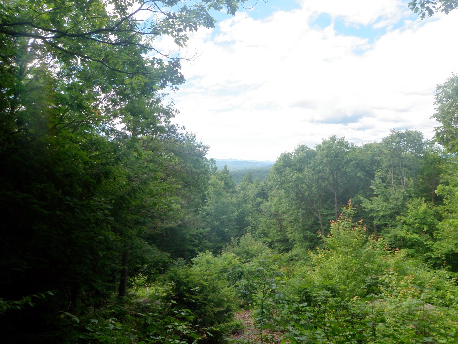 Trekking For A Cure. Giving MS The Boot!!: Monroe Hill (Fox State ...