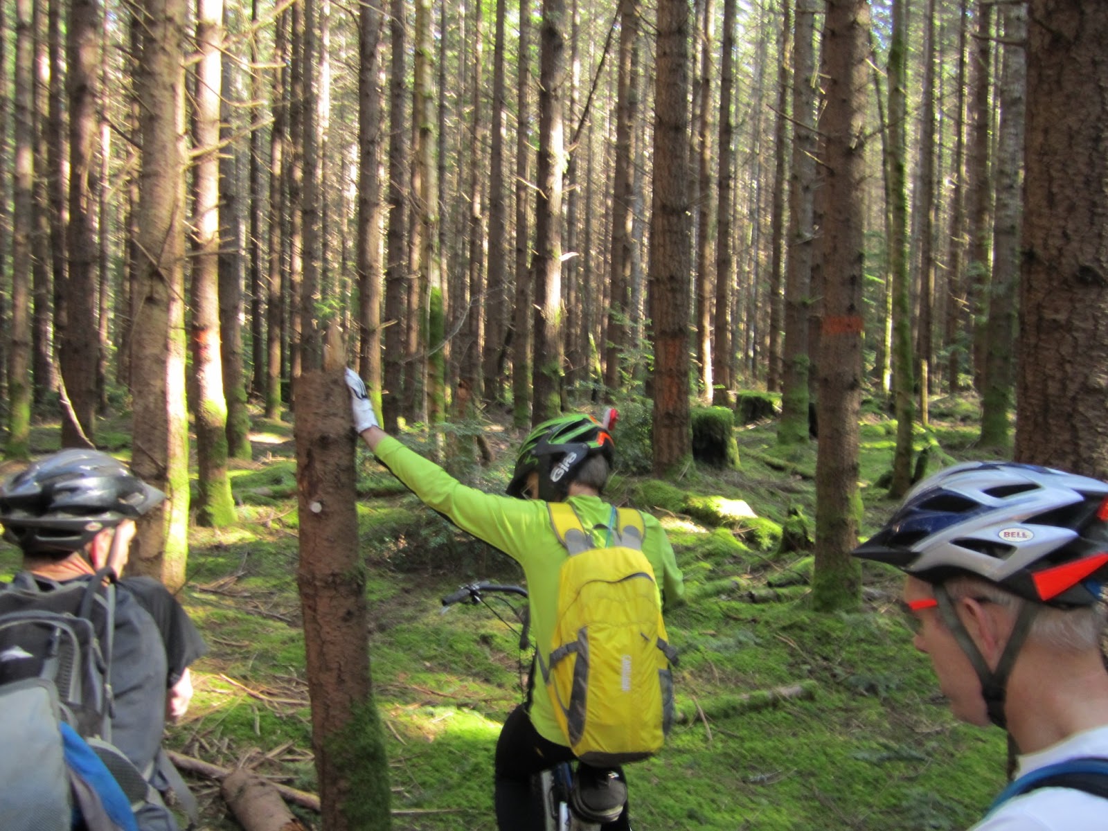 Pacific Northwest Project: Port Gamble Trails