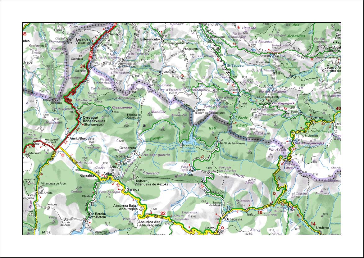 Bosque del Irati. Note 2012. 15