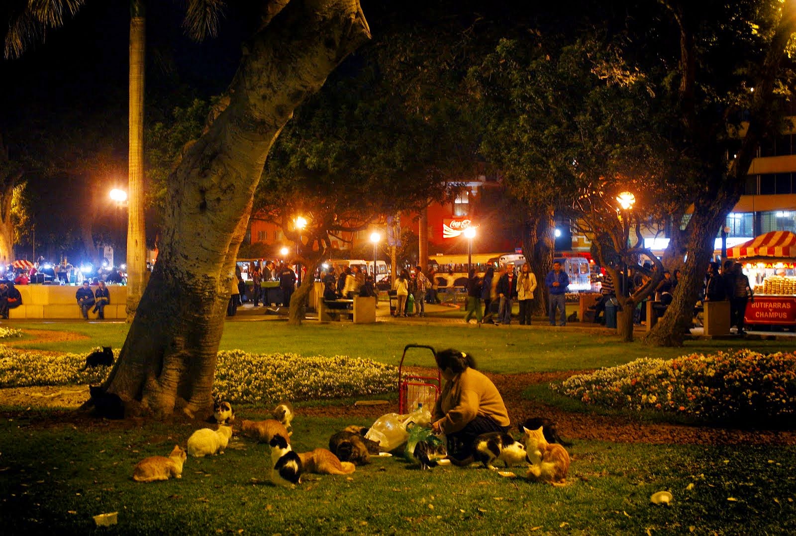 ¡ TU INFORMACIÓN SÍ IMPORTA...!: Parque Kennedy en su Esplendor