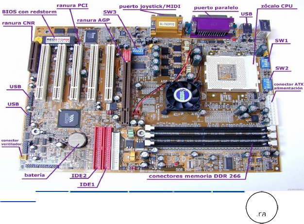 TARJETA MADRE Y SUS PARTES: PUERTO RJ45