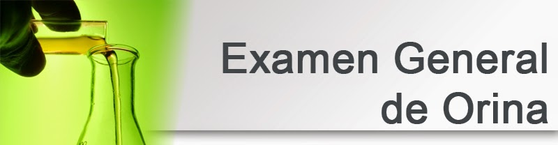 EXAMEN GENERAL DE ORINA (MICROSCOPICO): QUE ES UN EGO