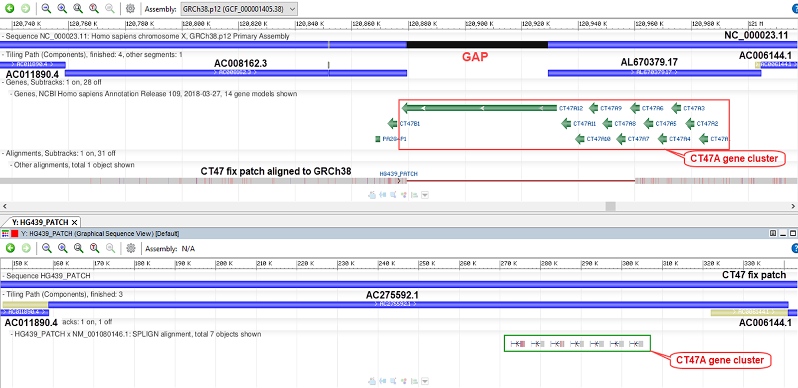 GenomeRef: GRCh38.p13 has been released