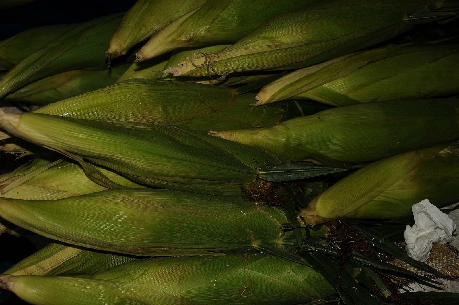 LEBIH BAIK JADI BEKAS ORANG JAHAT DARI BEKAS ORANG BAIK: PASAR MALAM DI ...