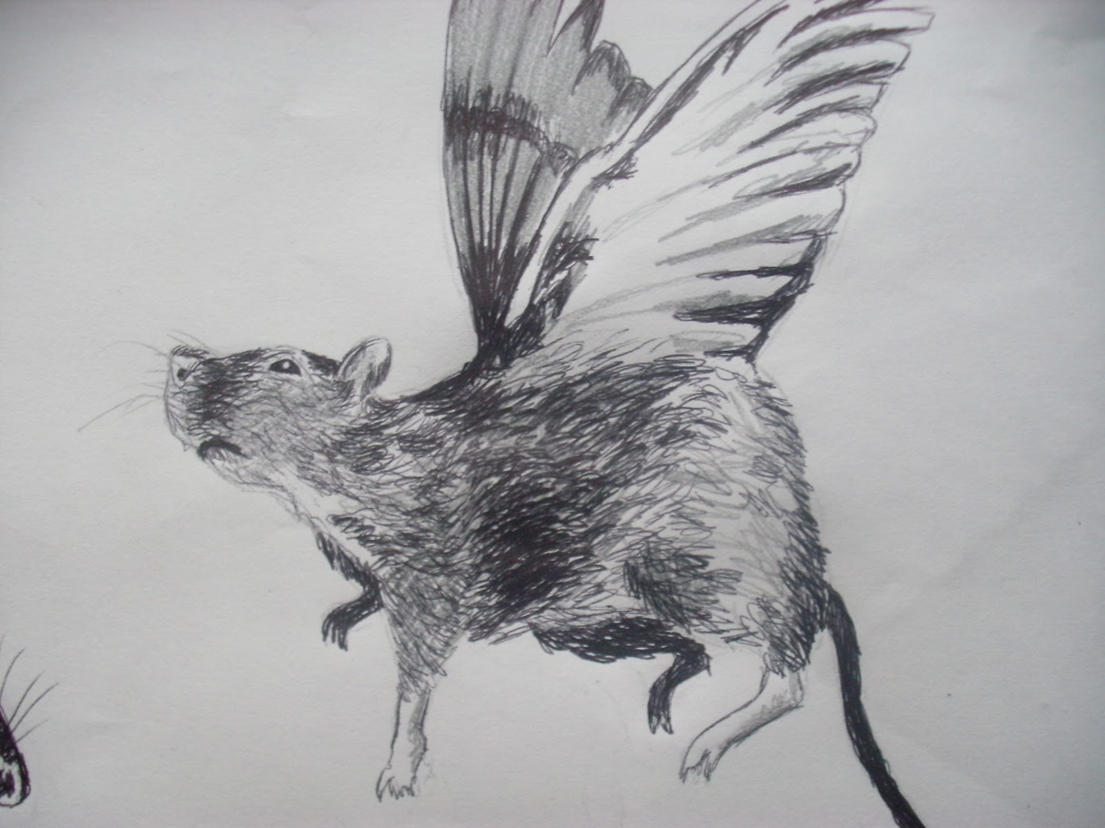 The Plain Clothes Clown: Flying Rats