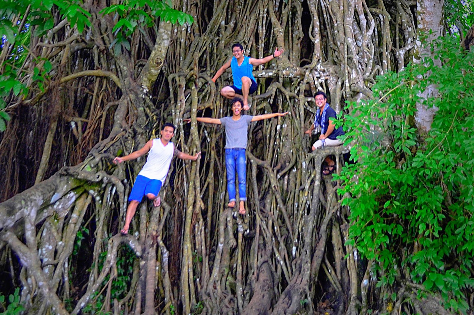 Balete Park 2013