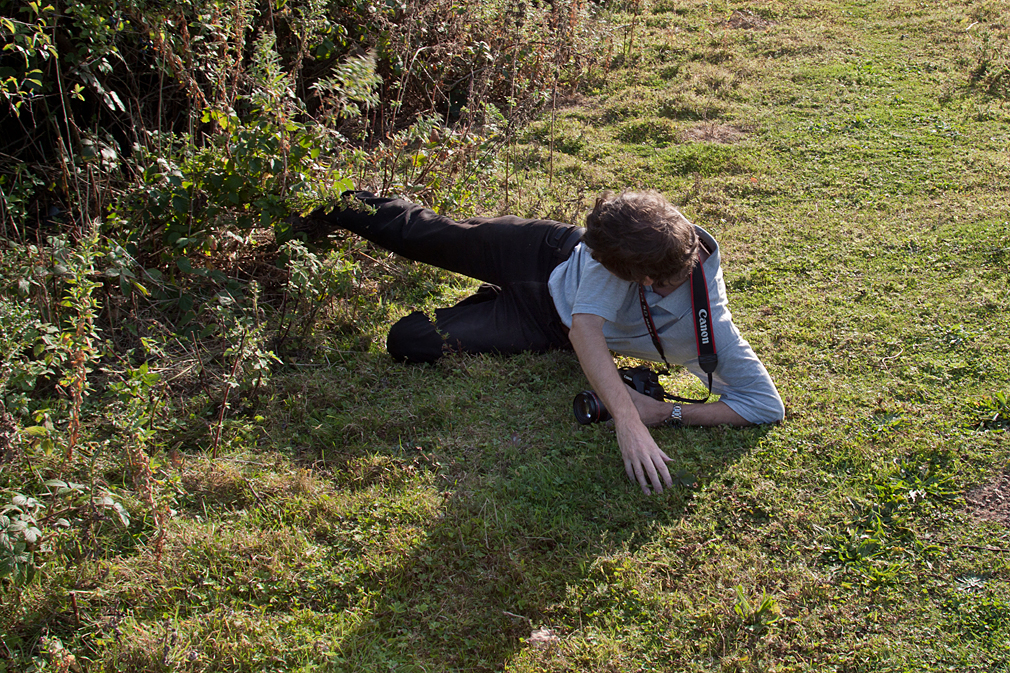 phils photographic adventures: Fun at Ryton Wood Meadows