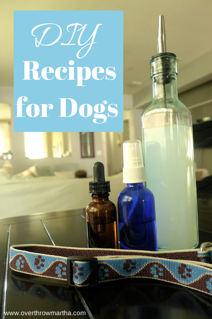 6 Natural Recipes to Support Your Dog's Health - Overthrow Martha