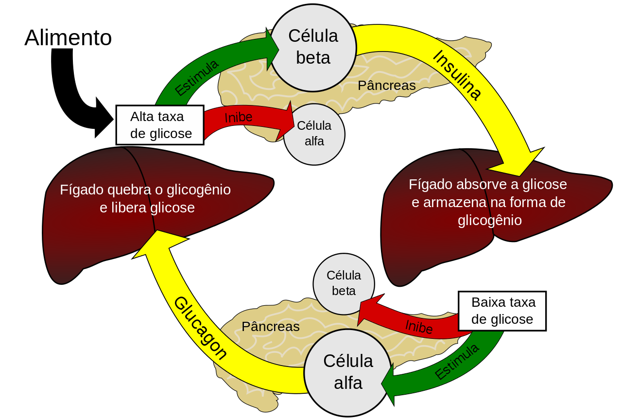 Tem Bioquímica no Sangue?: Bioquímica Diabética e Atenção Básica