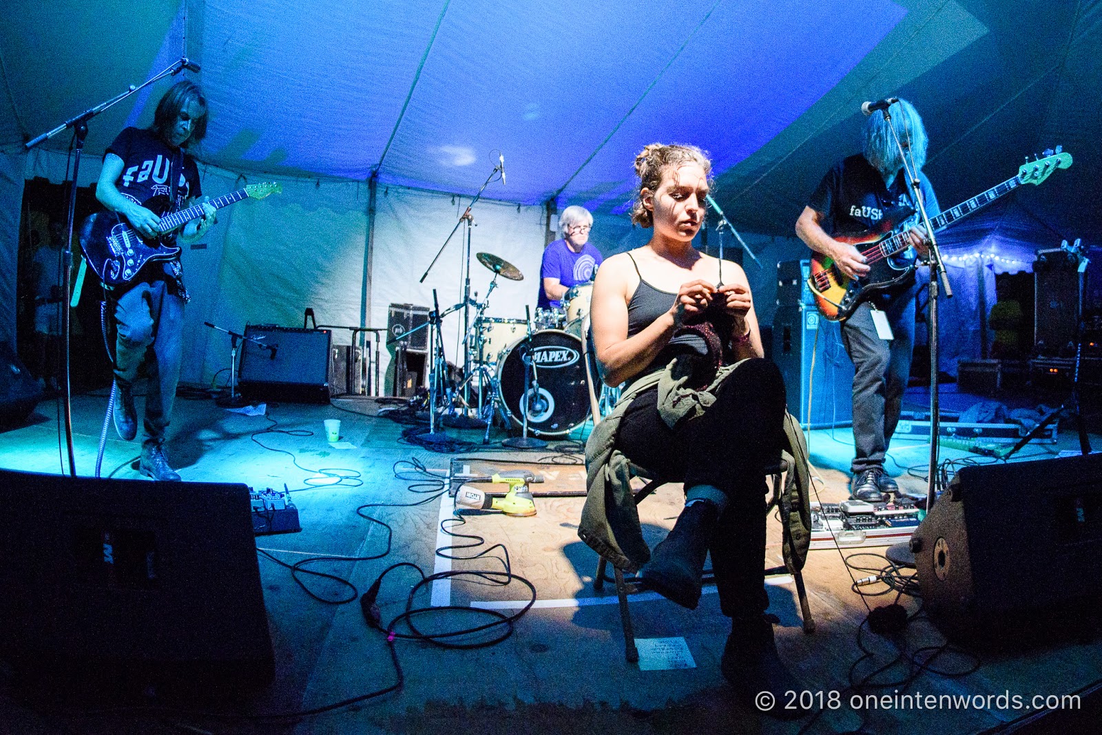 one in ten words: Hillside 2018: Day 2: faUSt - Concert Photos