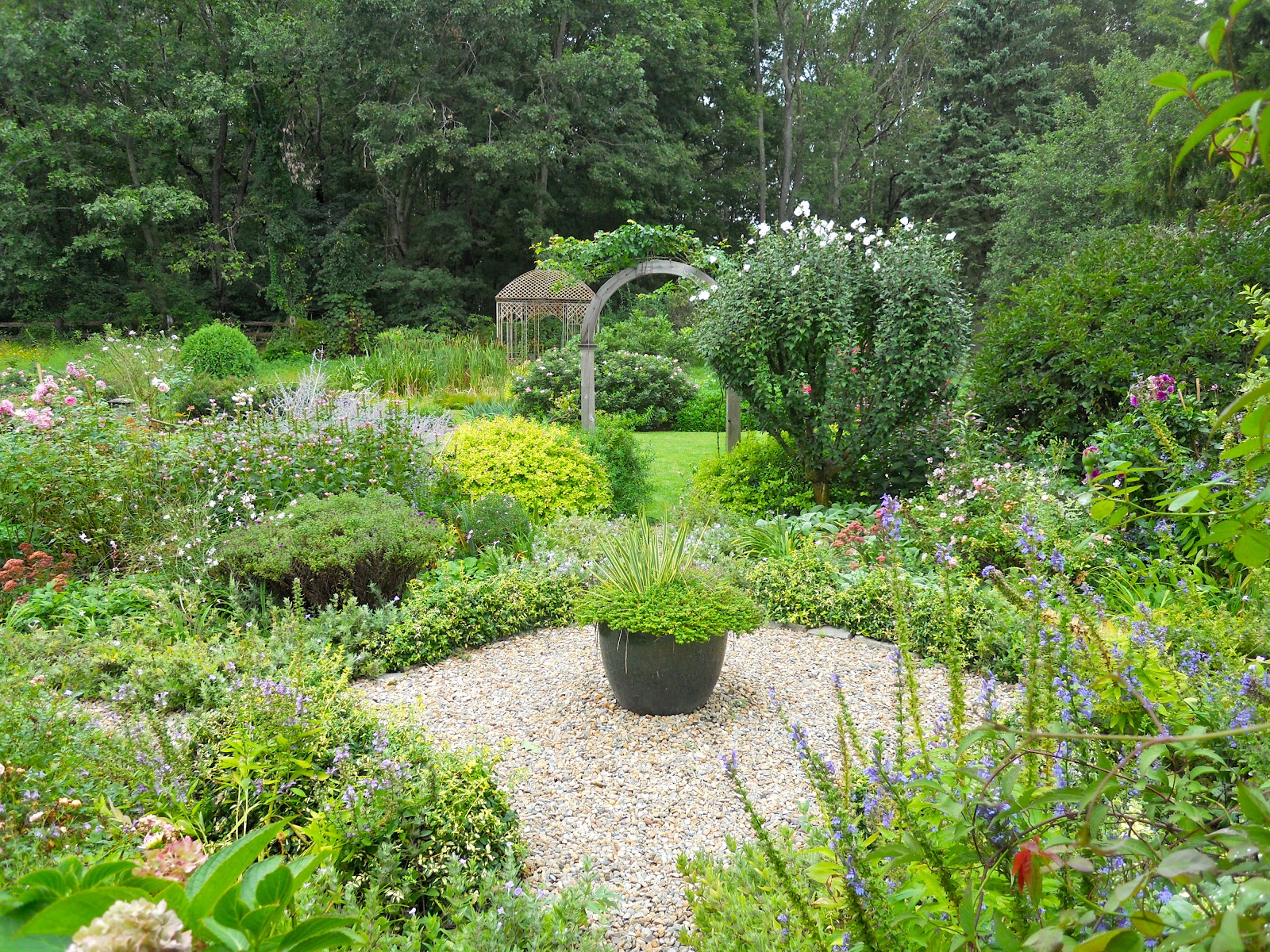 A Year In The Garden: Home Grown