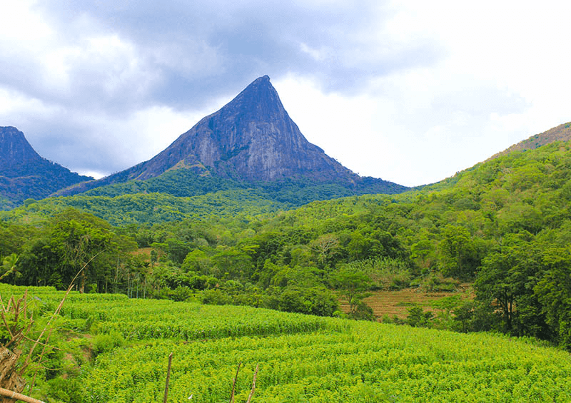 Meemure | Sri Lanka Nature | About Sri Lanka | Sri Lanka | All About ...