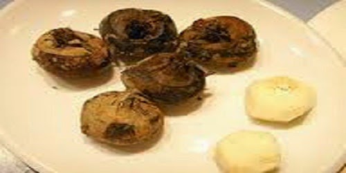 Philippine Species, Plants, Rock/Water Formation