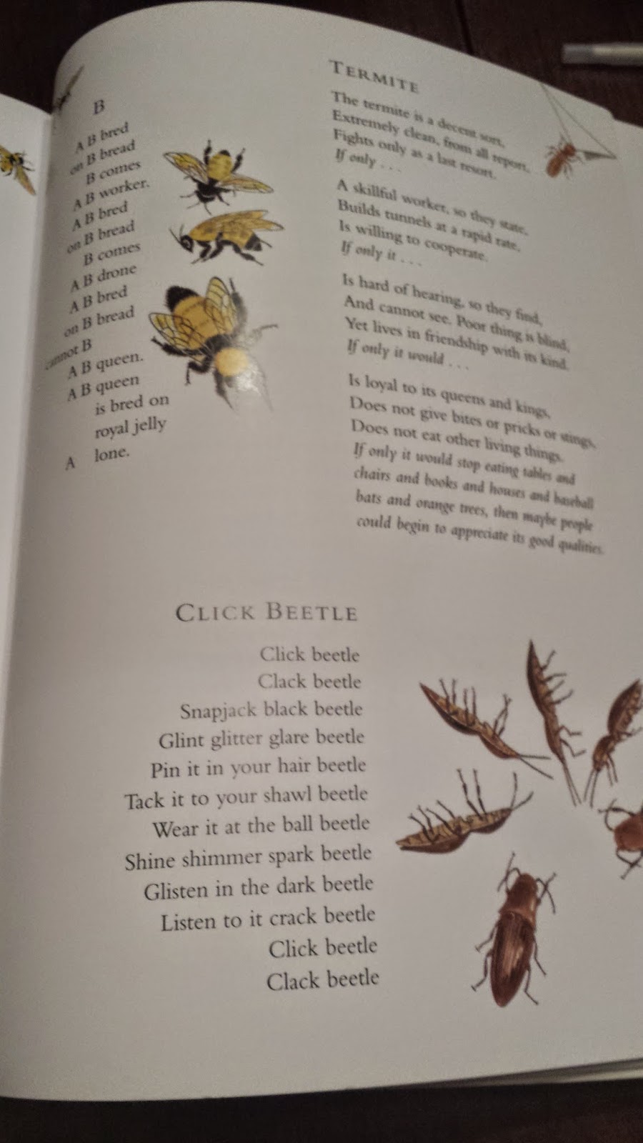 The Talbert Report: Kindergarten - Day 35