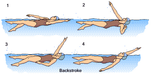 Dee's Guide For Swimming: The Four Strokes