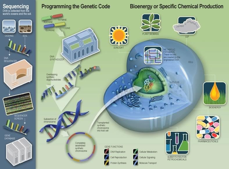 Biologi: IT (Information Technology) dan ICT (Information Communication ...