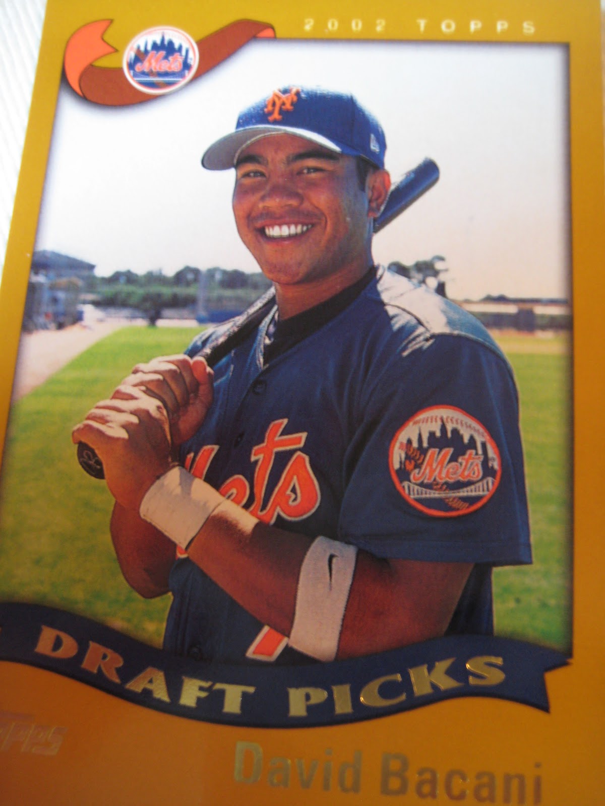 Baseball Cards Come to Life!: Player Profile: David Bacani