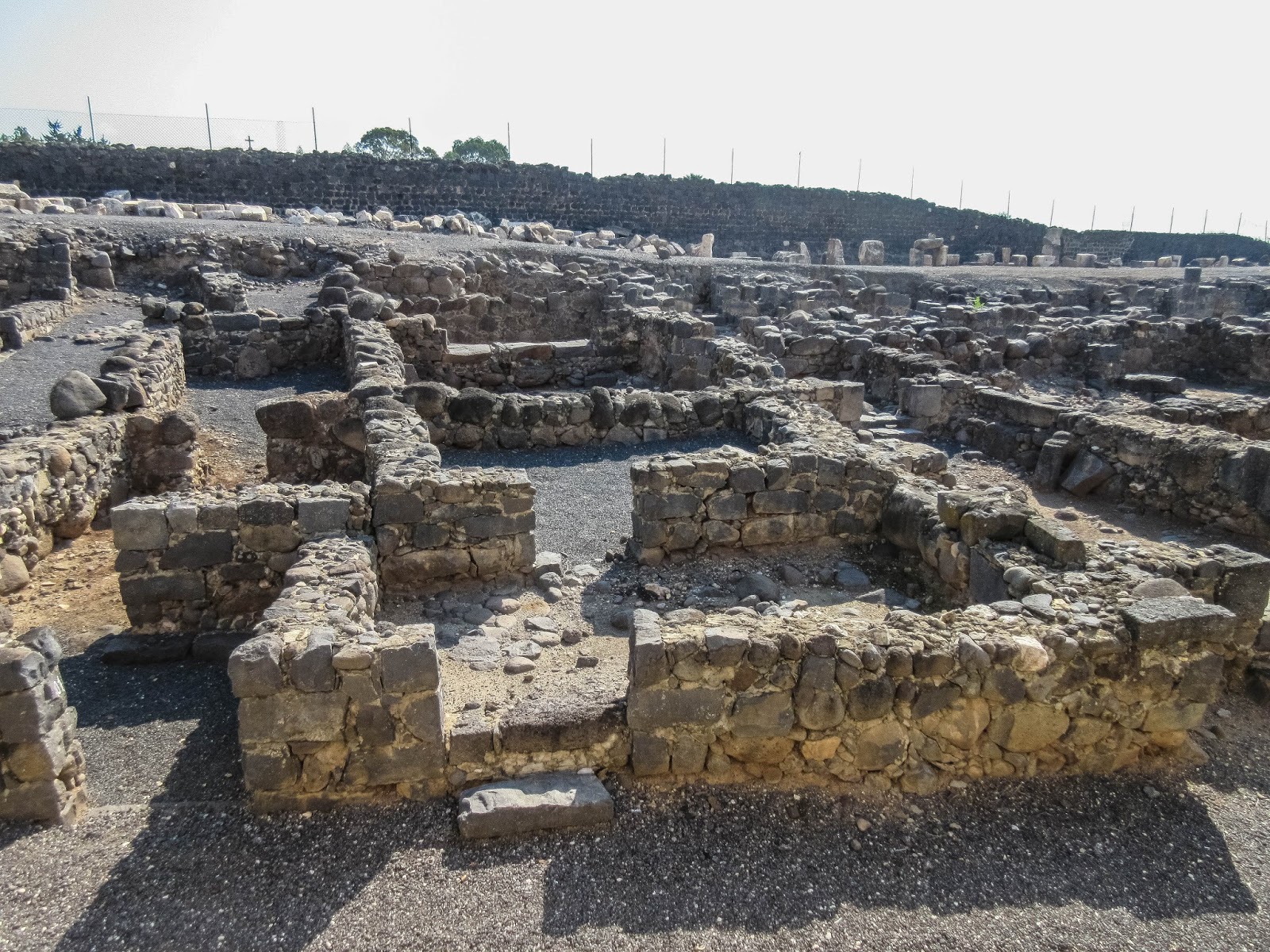 Cannundrums: Capernaum - Synagogue and House of Peter
