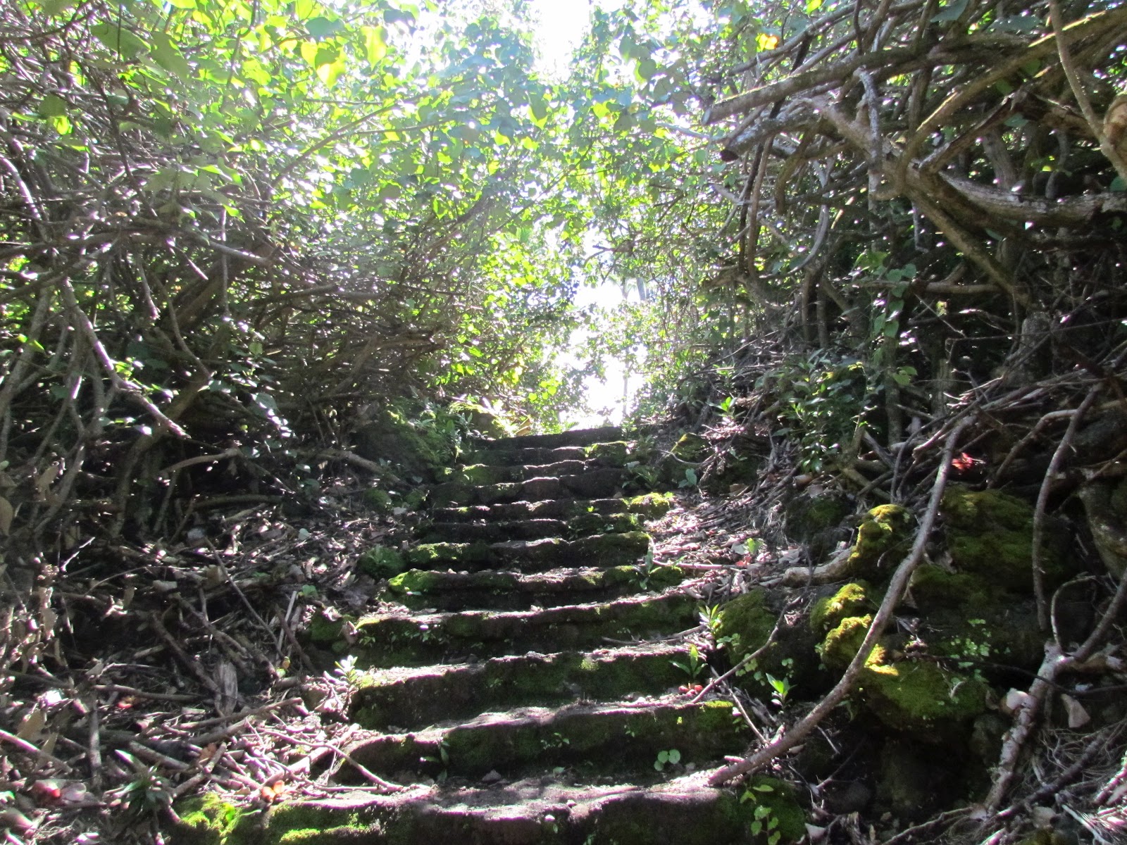 A Beacon on your Journey: "I do not ask to walk smooth paths nor bear ...