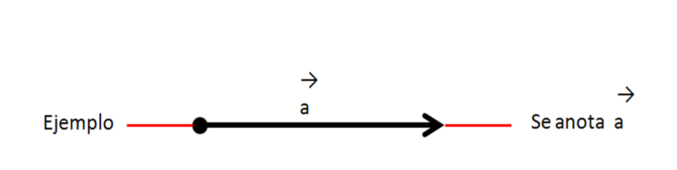 Fisica de 3 Año: Elementos de un vector