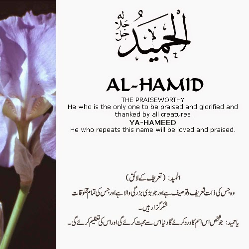 The 99 Beautiful Names of Allah with Urdu and English Meanings: 55-AL-HAMID