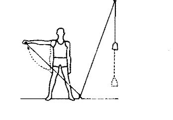 The Sciences Of Human Movements,Go Kinesiology!: SUSPENSION THERAPY