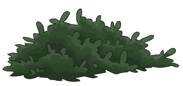 ® Imágenes y Gifs Animados ®: IMÁGENES DE ARBUSTOS