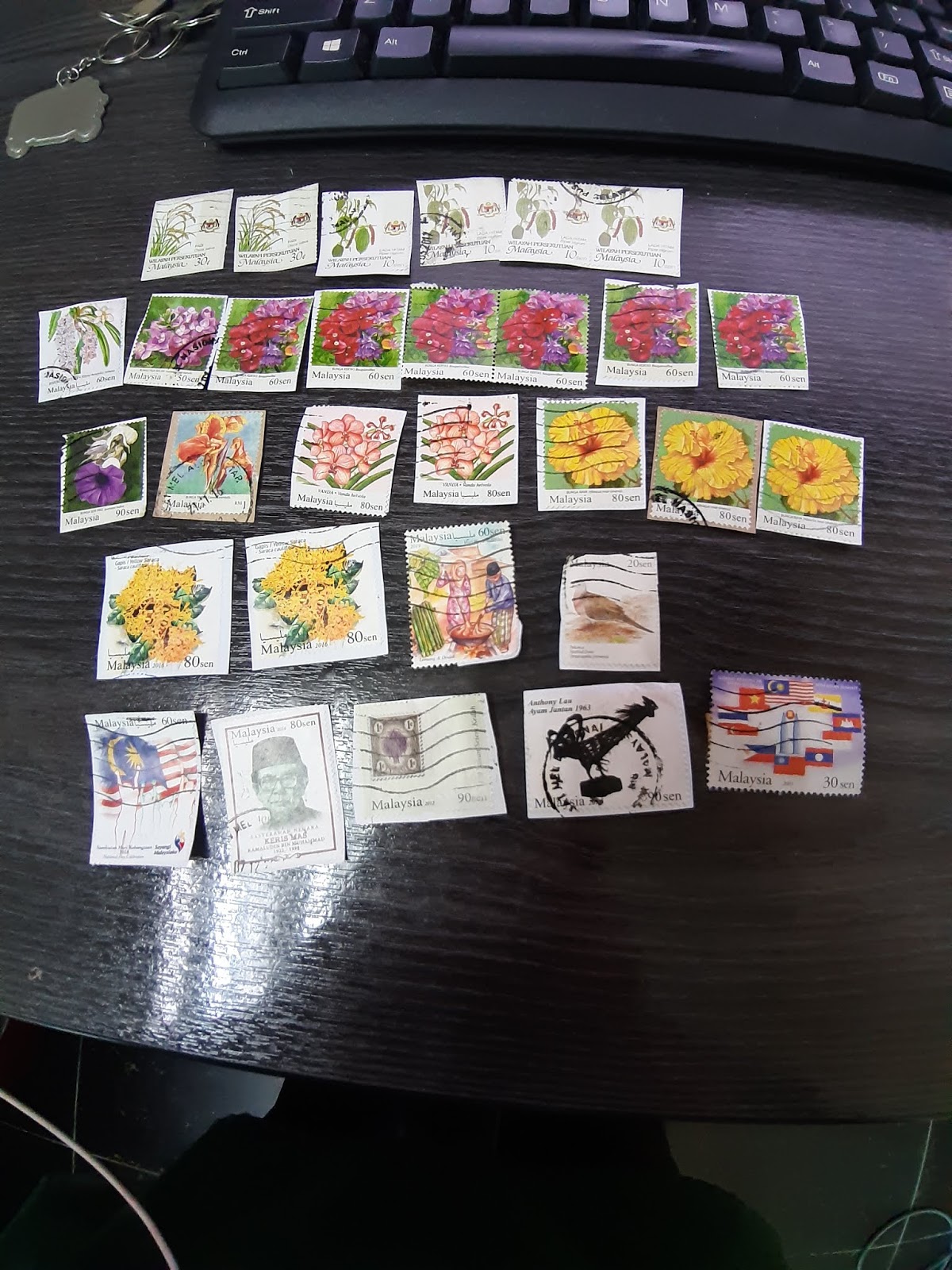 DANA: BELAJAR MENGUMPUL SETEM