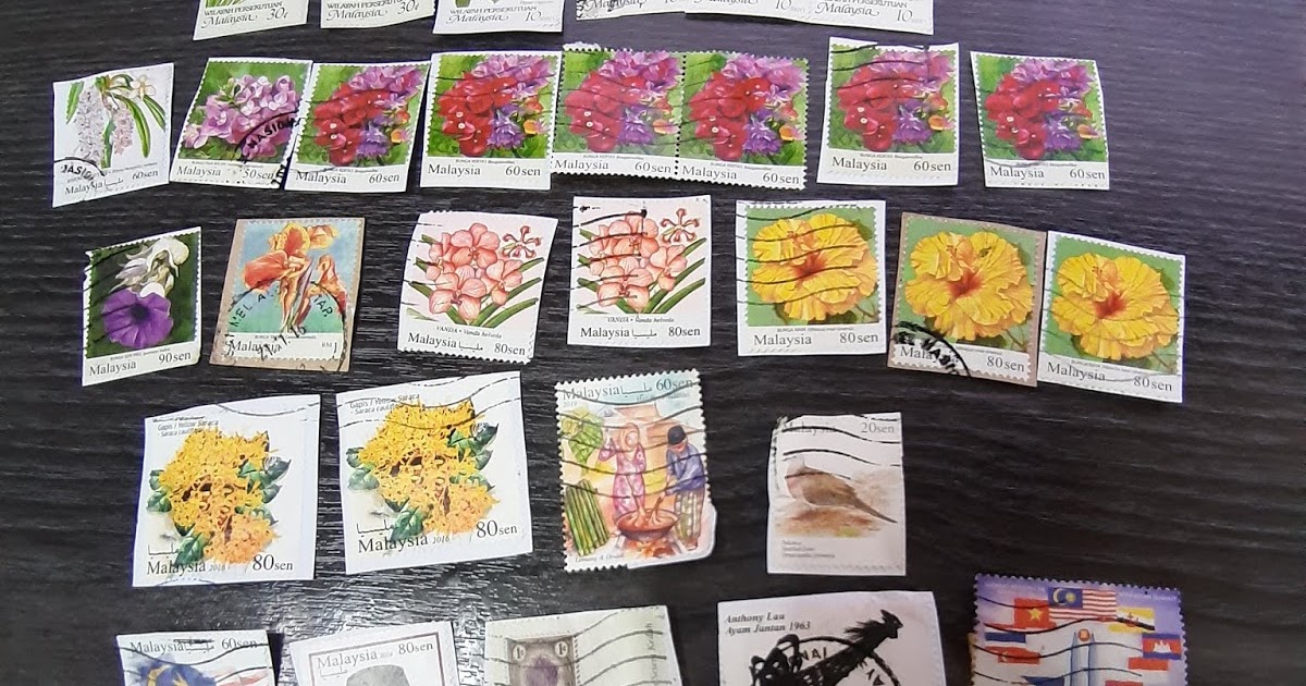 DANA: BELAJAR MENGUMPUL SETEM