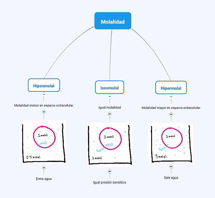 Fisiología: Molalidad y Tonicidad