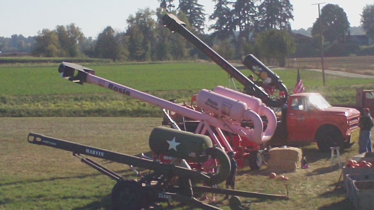 As Time Goes By: I fired the pumpkin cannon today