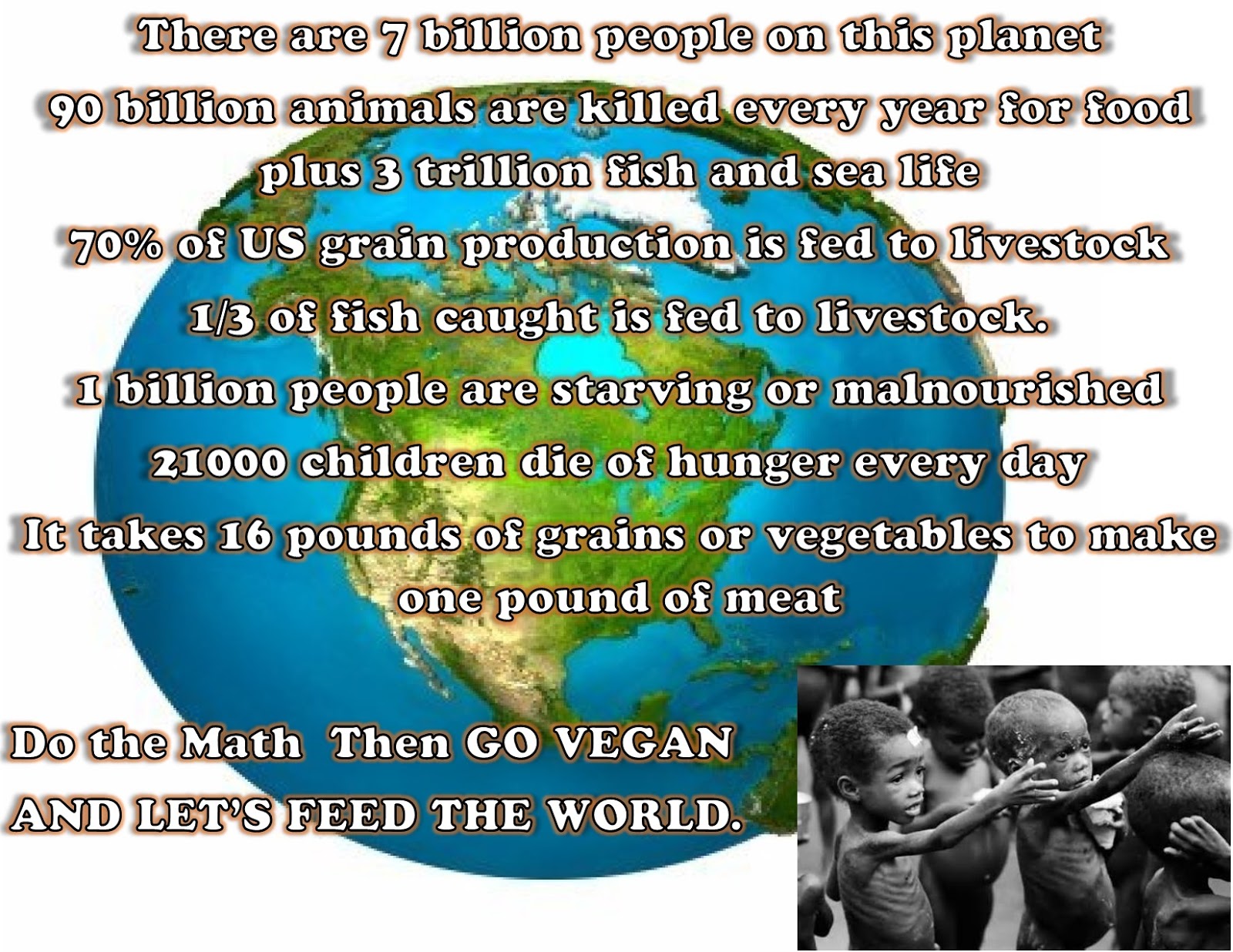 Joy of Vegan: world hunger memes to share