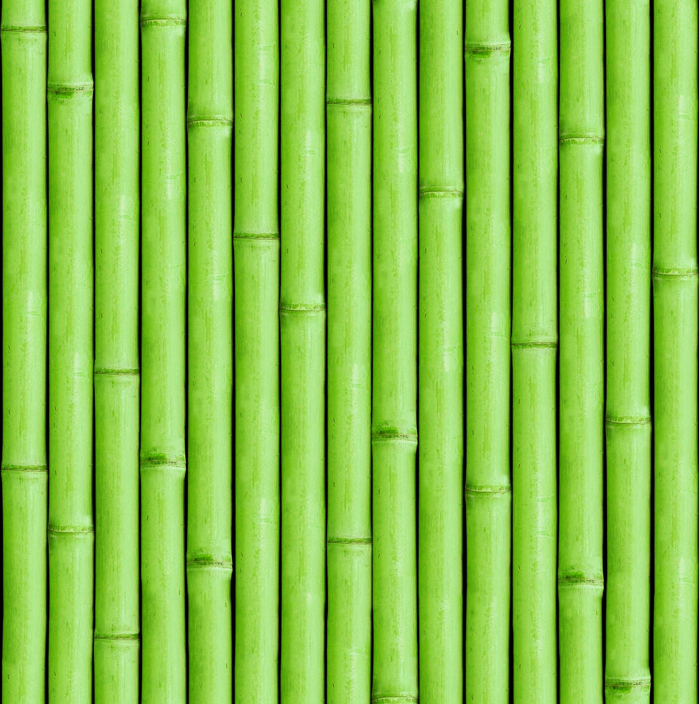 TEXTURE SEAMLESS - BAMBU'